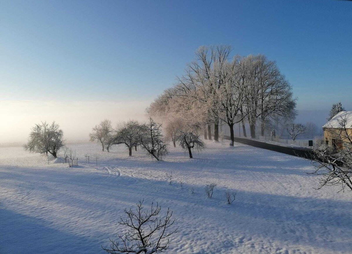 Winterwanderung in Paplitz / Stadt Baruth&Mark